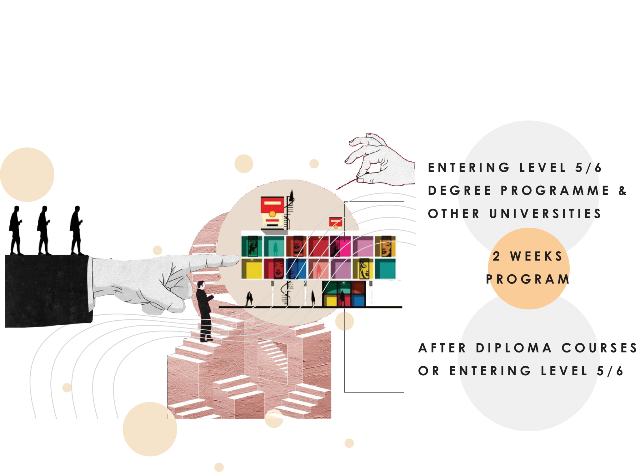 Bridging Program – EDUCITA HUB